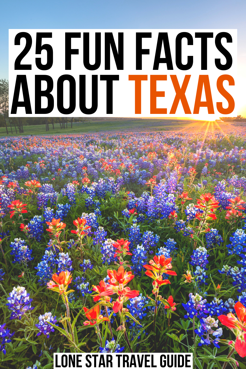 25+ Fun Facts About Texas - Lone Star Travel Guide