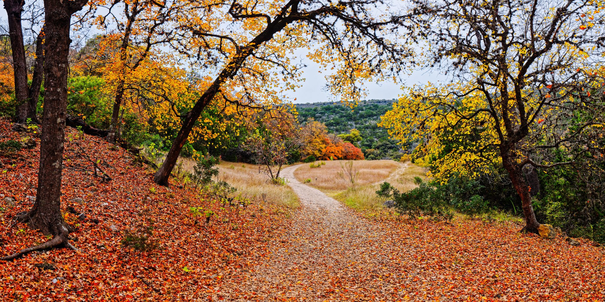 17 Fun Weekend Getaways from Austin (Road Trip Ideas!)