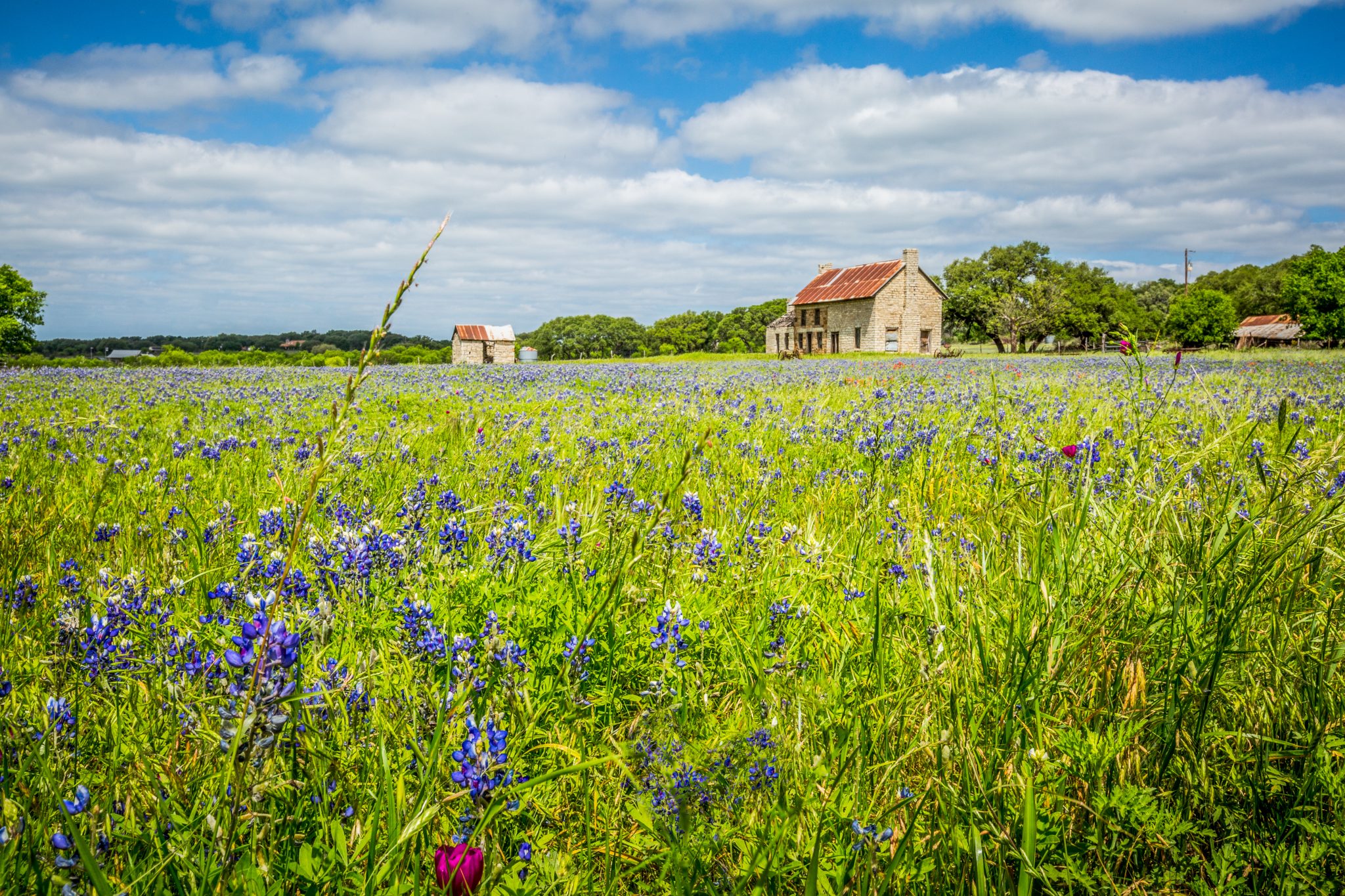 19 Epic Day Trips from Austin - Lone Star Travel Guide