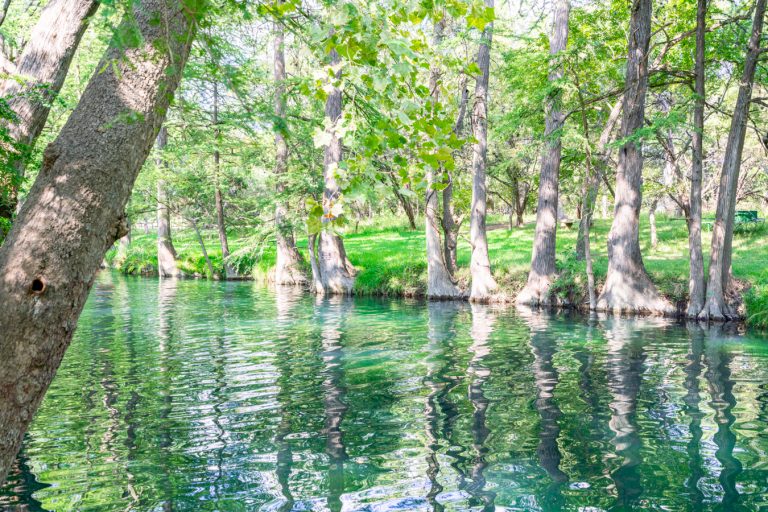 Spring Break in Texas: 15 Fun Destinations (Beaches + Beyond)