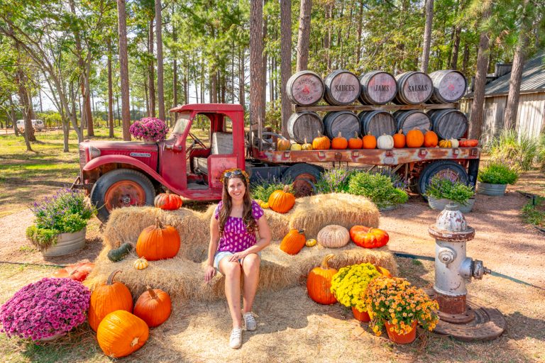 30+ Fabulous Things to Do in Fredericksburg, TX - Lone Star Travel Guide