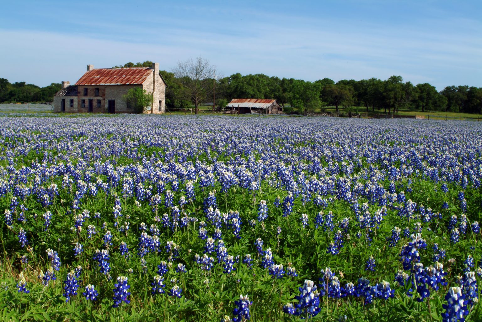 13 Unforgettable Texas Hill Country Towns to Visit (+ Map)