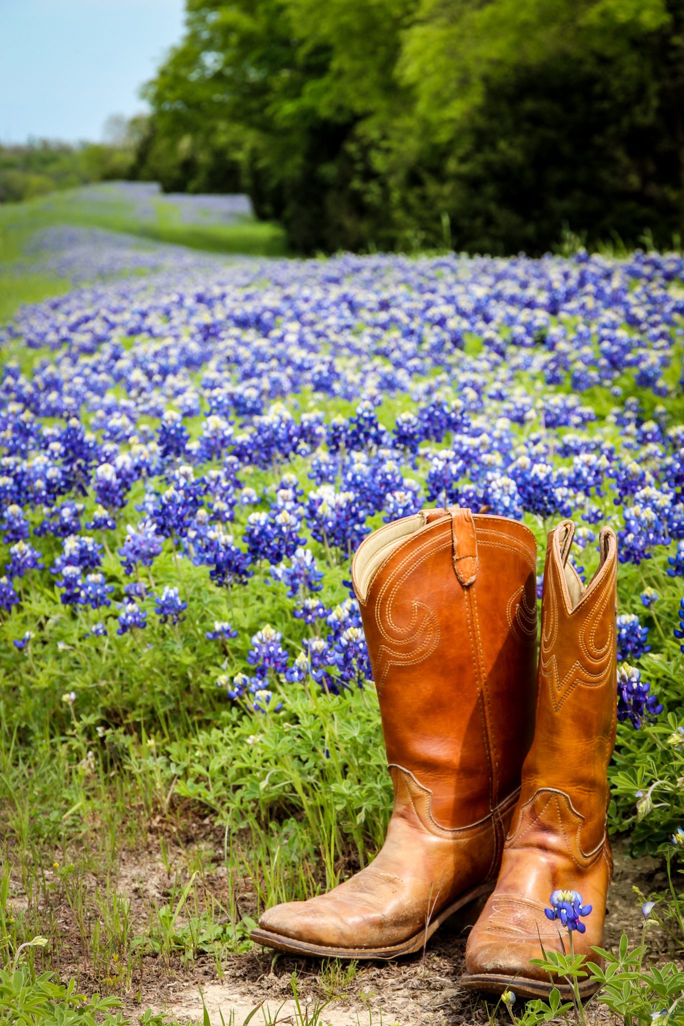17 Terrific Reasons to Visit Texas - Lone Star Travel Guide