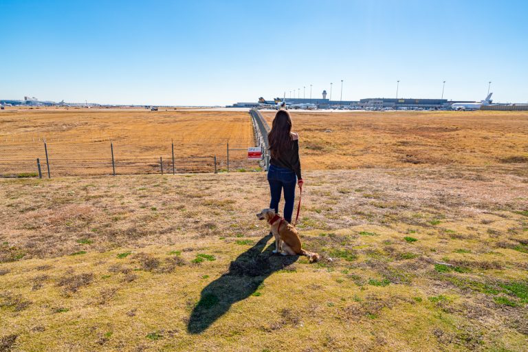 11 Fun Things to Do in Grapevine, TX - Lone Star Travel Guide