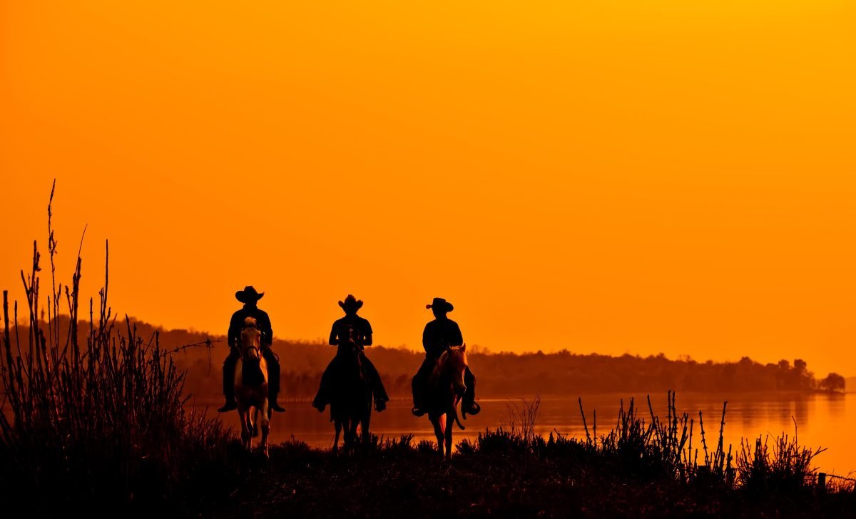 Texas Movies: 15 Best Movies Set in Texas - Lone Star Travel Guide