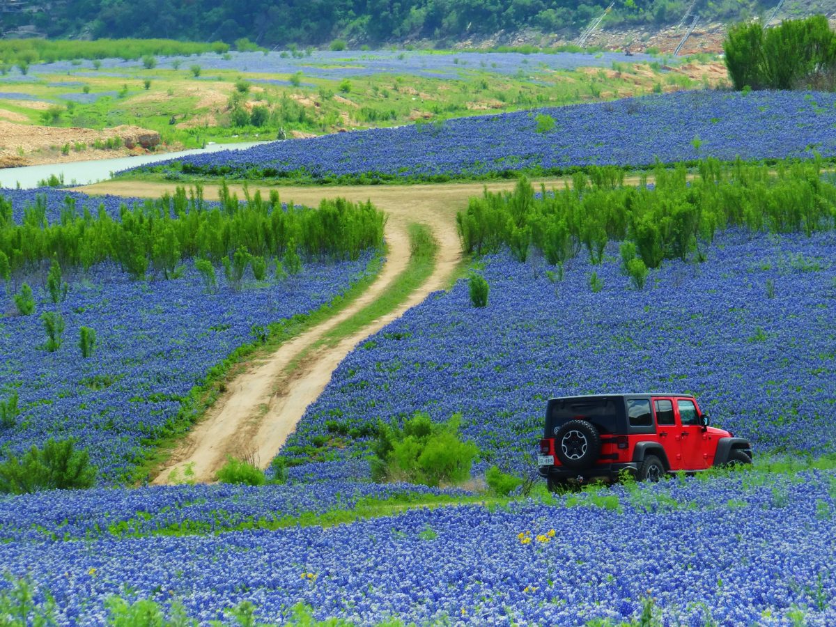 10 Splendid Things to Do in Spicewood, TX - Lone Star Travel Guide