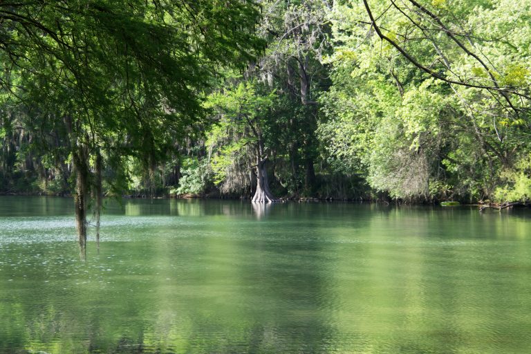 Tubing in Texas: The Ultimate Guide to Floating the River