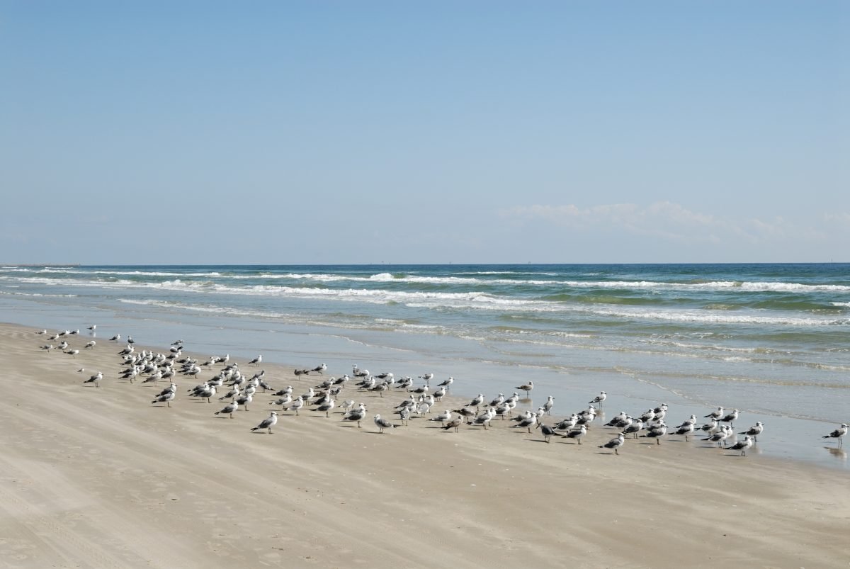 10 Best Beach Towns in Texas (Perfect for Your Next Getaway!)