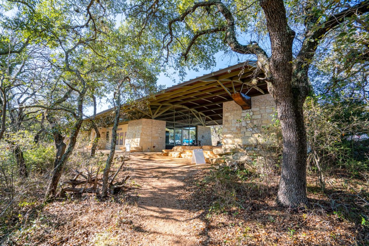 Texas' Magical Westcave Preserve: 7 Essential Tips for Visiting