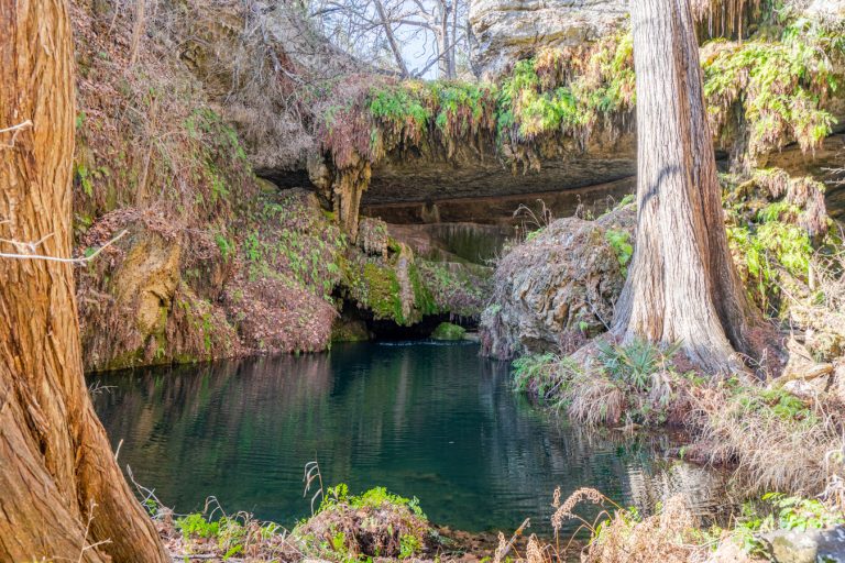 Texas' Magical Westcave Preserve: 7 Essential Tips for Visiting