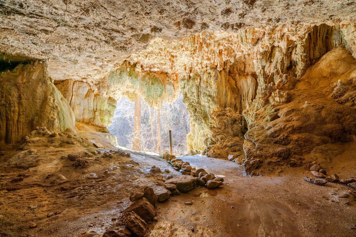 Texas' Magical Westcave Preserve: 7 Essential Tips for Visiting