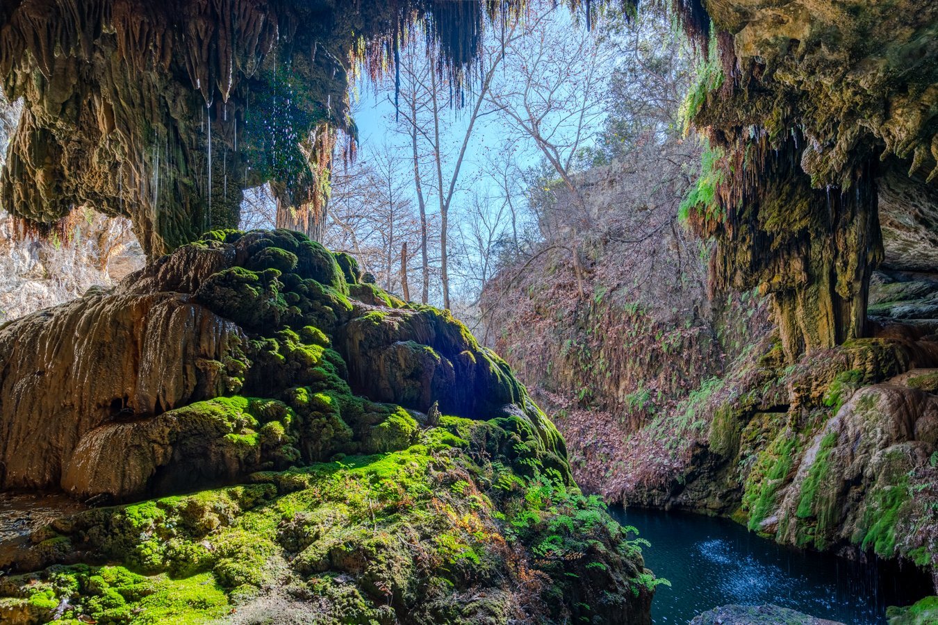 Texas' Magical Westcave Preserve: 7 Essential Tips for Visiting