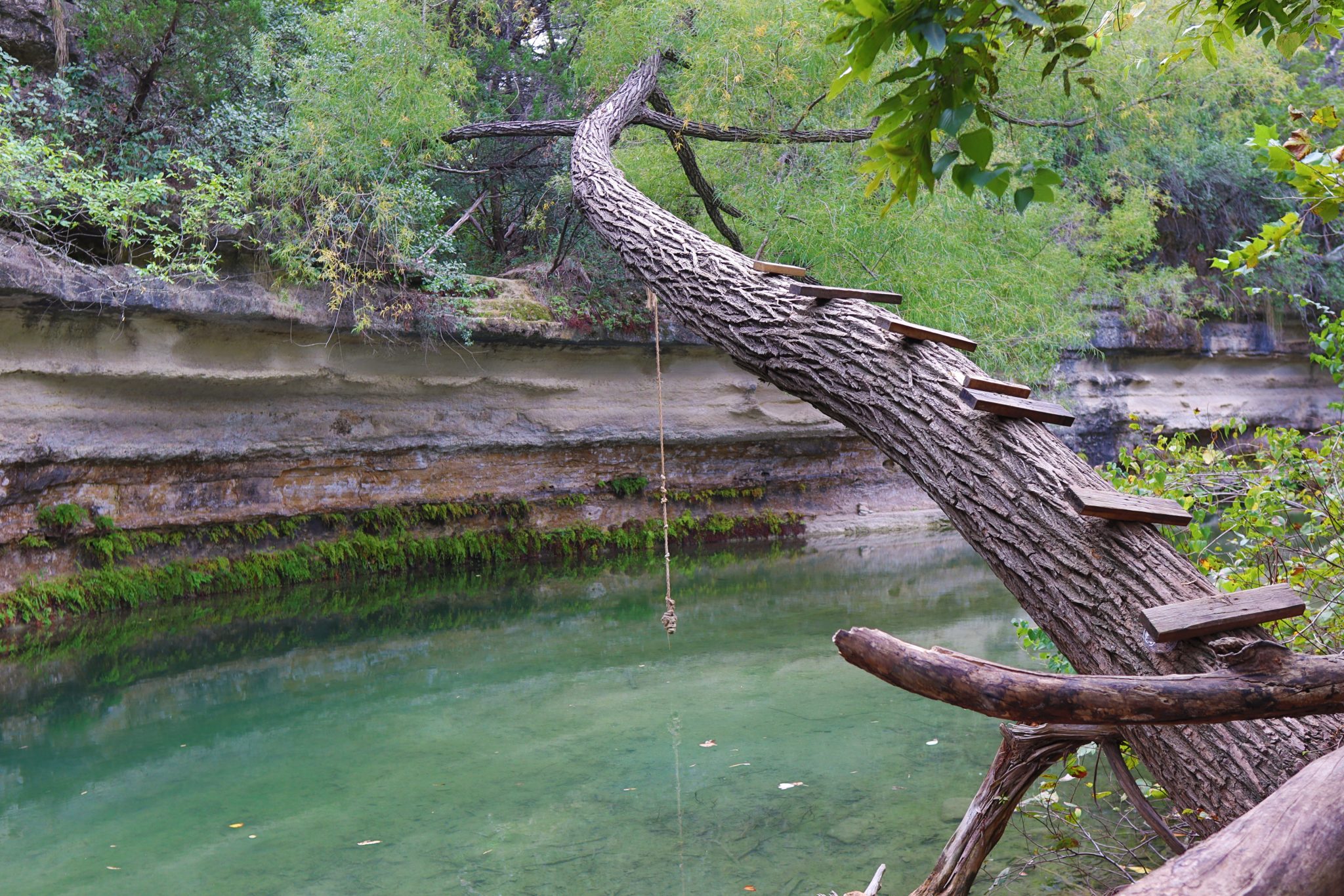 21 Best Austin Swimming Holes in (+ Near) the City