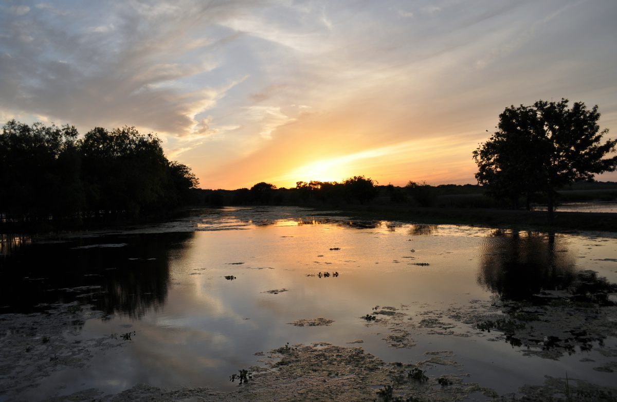 7 Best Lakes in + Near Houston, TX - Lone Star Travel Guide