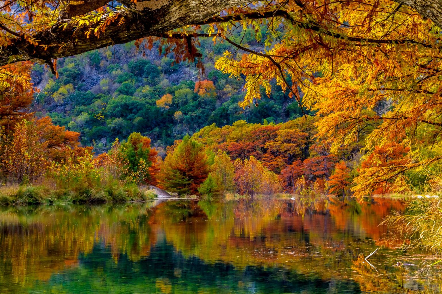 Fall in Texas: 10 Fantastic Fall Foliage Destinations (+ Tips!)