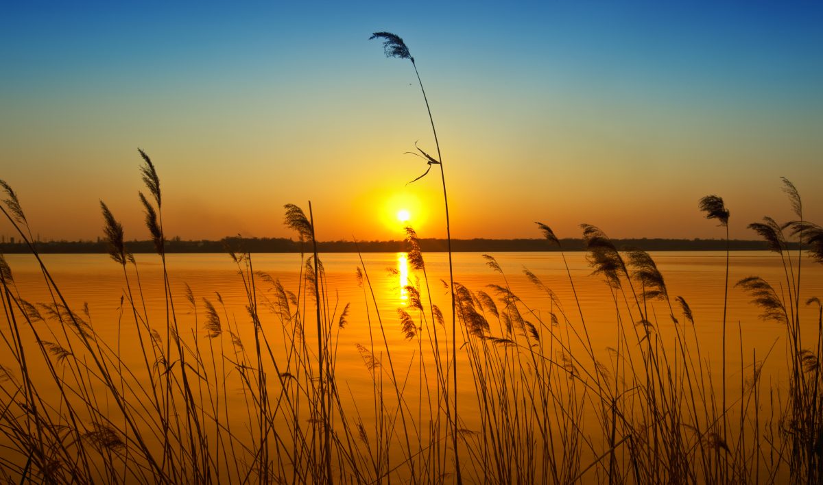 11 Fun Things to Do in Grapevine, TX - Lone Star Travel Guide