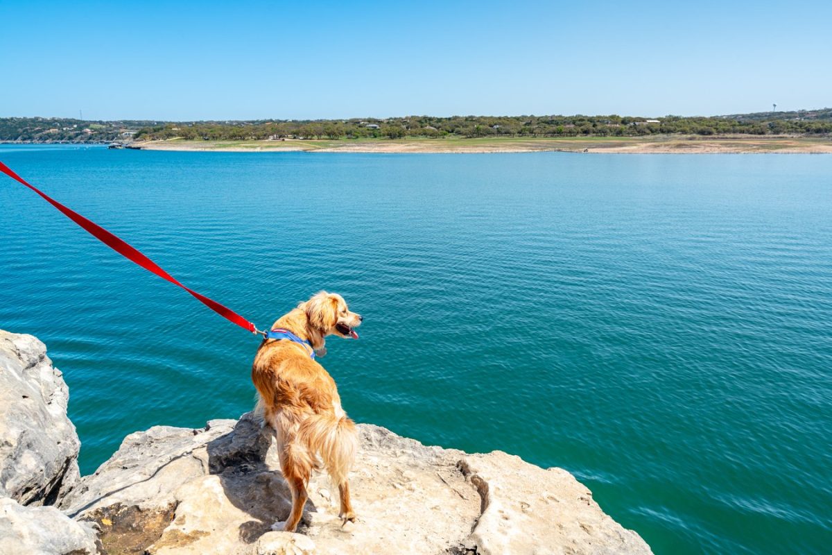7 Beautiful Lakes in + Near Austin, TX - Lone Star Travel Guide