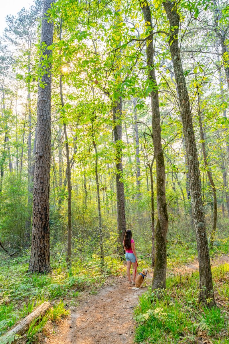 Huntsville State Park: Things to Do + Guide - Lone Star Travel Guide