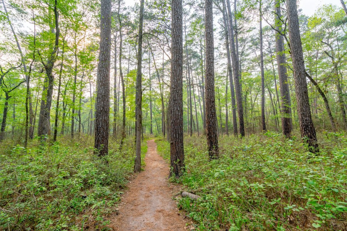 Texas Nature + The Great Outdoors Archives - Lone Star Travel Guide