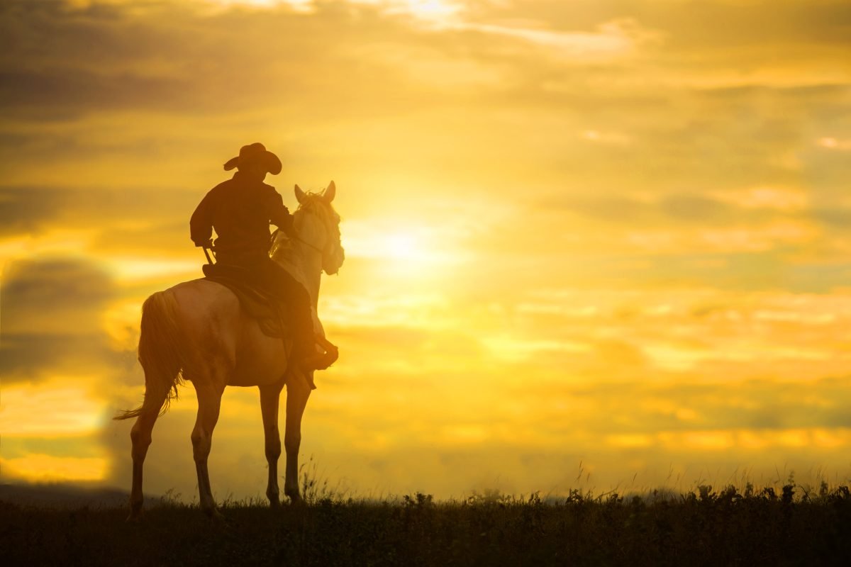 Texas TV Shows: 13 Series + TV Shows Set in Texas (By Genre!)