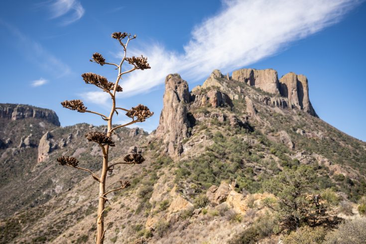 The Epic Lost Mine Trail in Big Bend NP: A Quick Guide