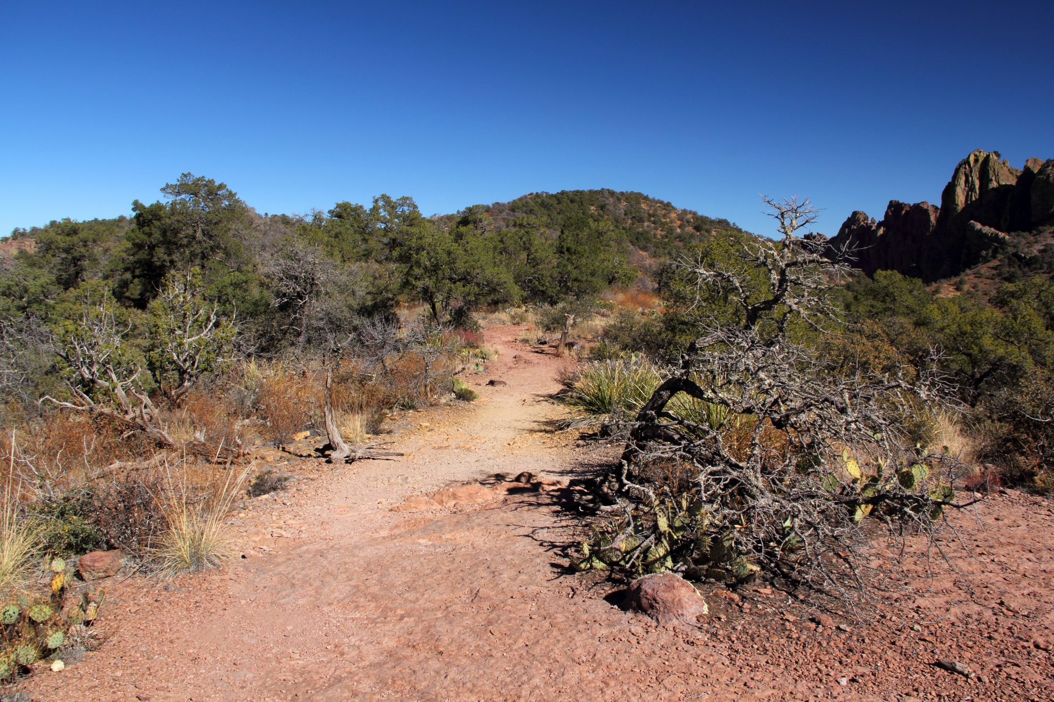 The Epic Lost Mine Trail in Big Bend NP: A Quick Guide