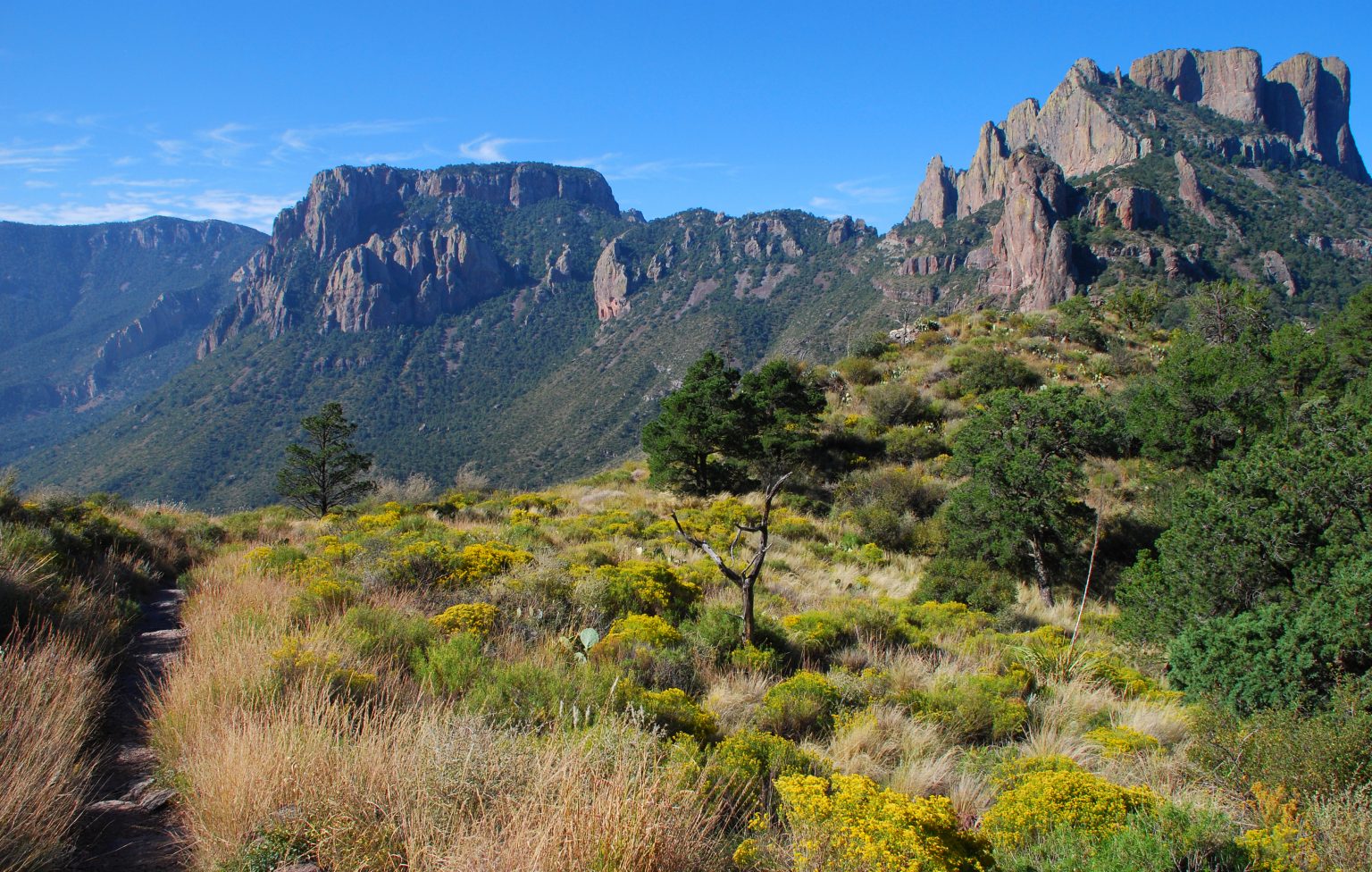 The Epic Lost Mine Trail in Big Bend NP: A Quick Guide